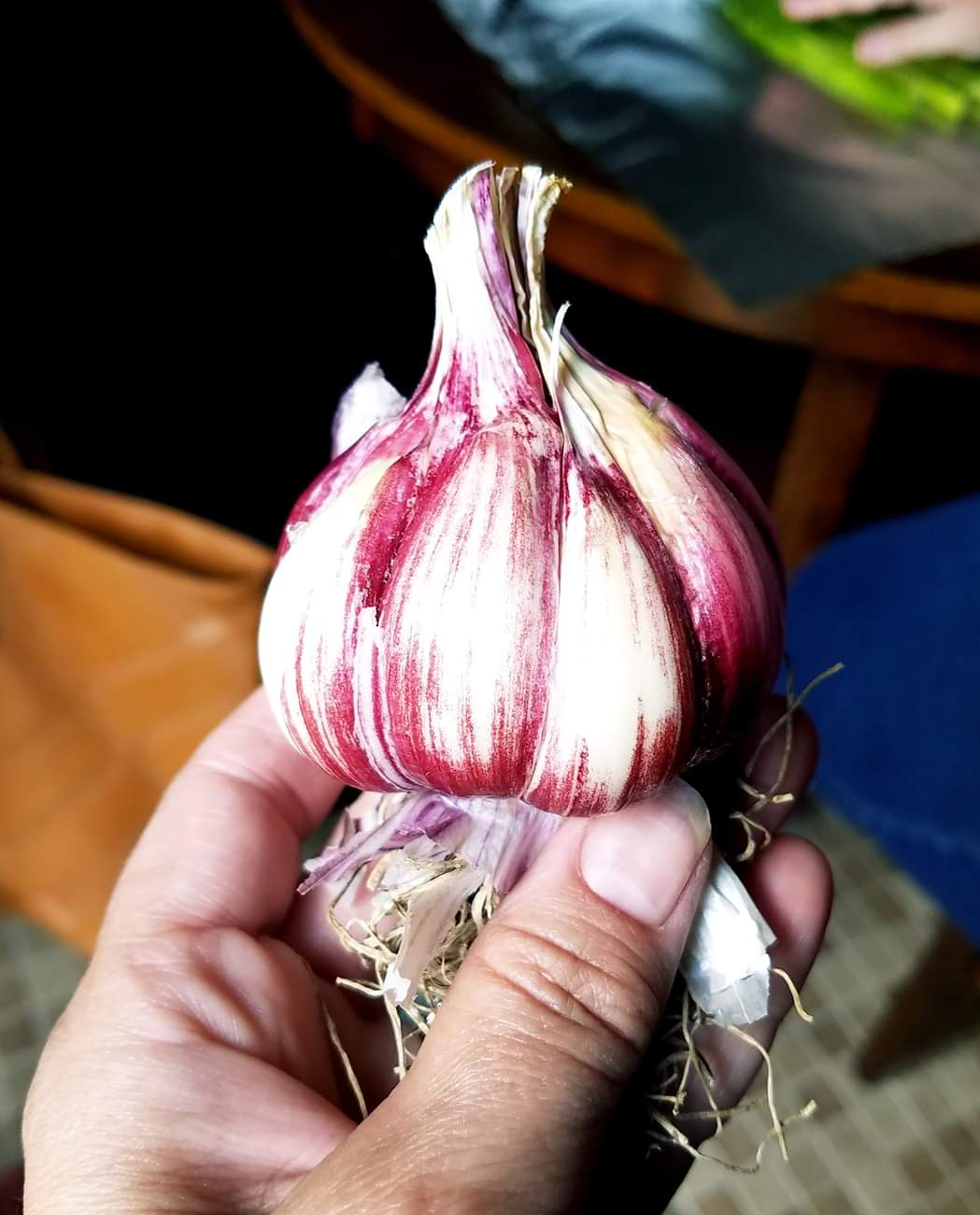 Conley Farms – Conley Farms Inc.